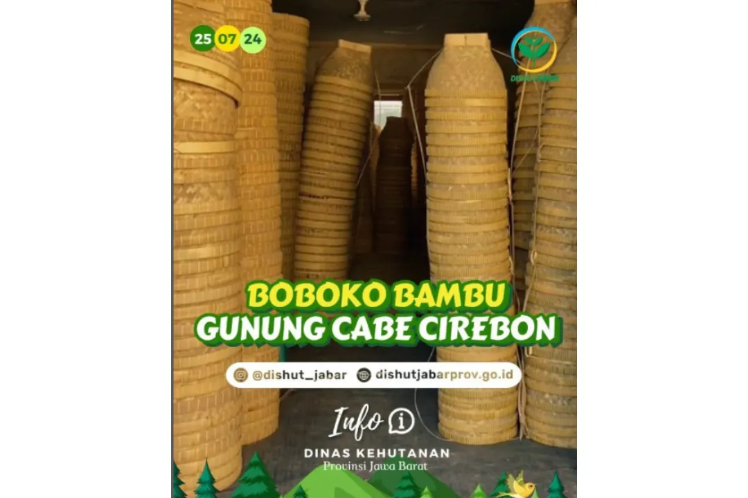 BOBOKO BAMBU GUNUNG CABE CIREBON
