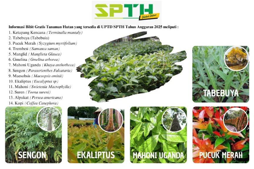 Bibit Gratis Tanaman Hutan - Dinas Kehutanan Provinsi Jawa Barat
